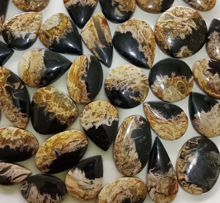 Petrified Palm Root – Crisman Handcrafted